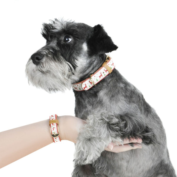 Amanda, Edie, & Reggie – FriendshipCollar