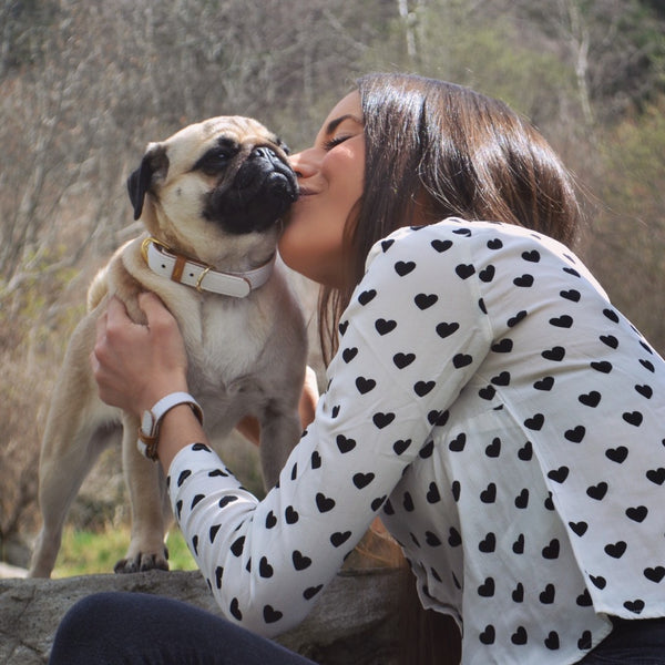 Anna and Buffet – FriendshipCollar