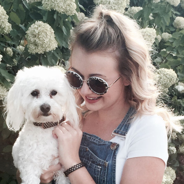 Fallon & Teddie – FriendshipCollar