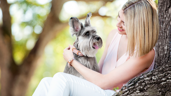 Life with Humans - From a Dog's Perspective – FriendshipCollar