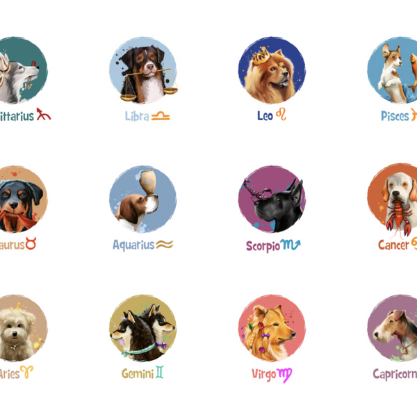 Zodiac signs as puppies 60 photos - Astrologytoyou.com